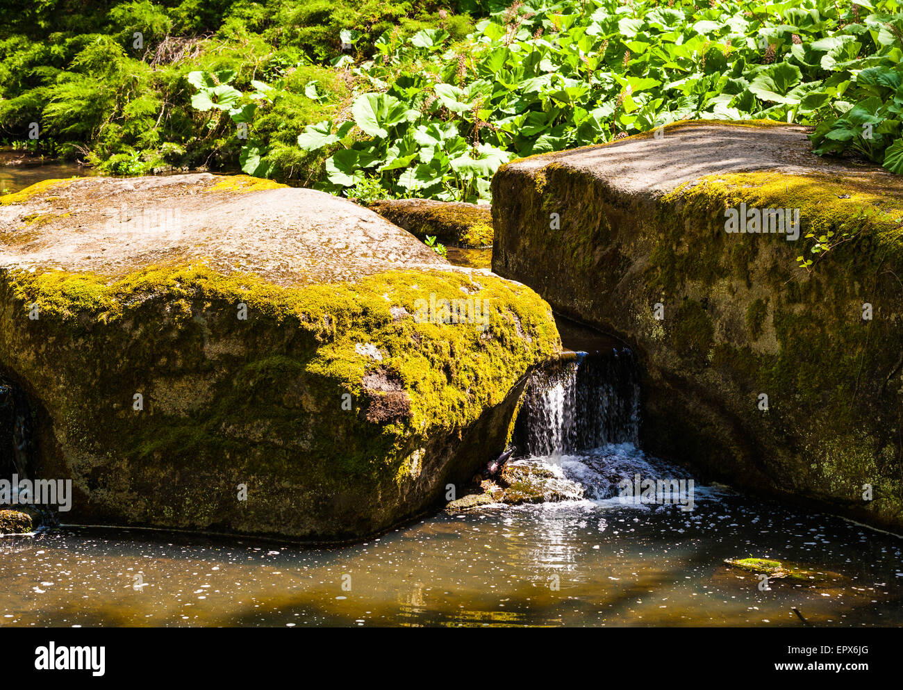 stream of water flowing into the pond Stock Photo - Alamy