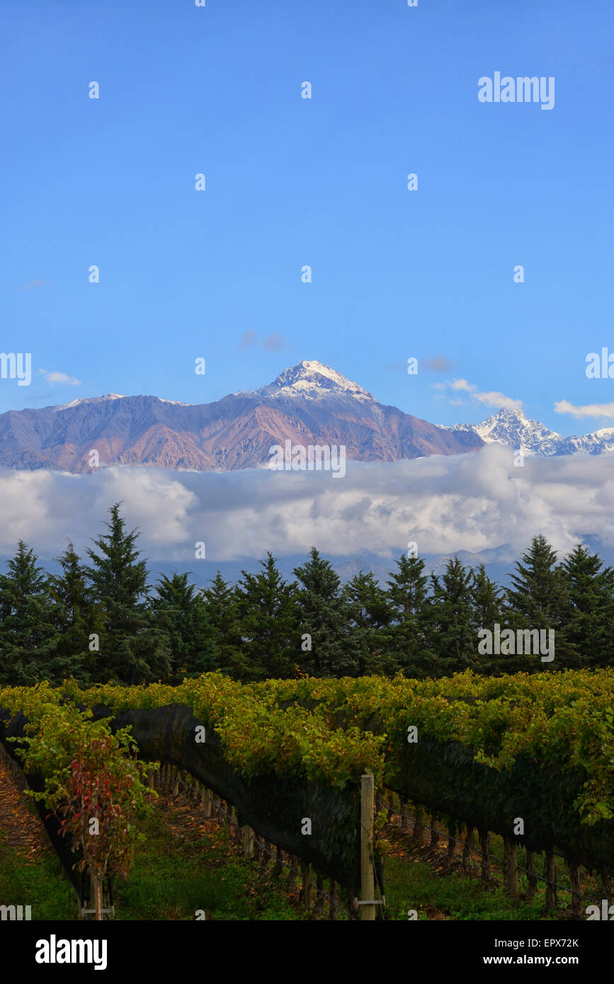 Argentina winemaking farming winery hi-res stock photography and images ...