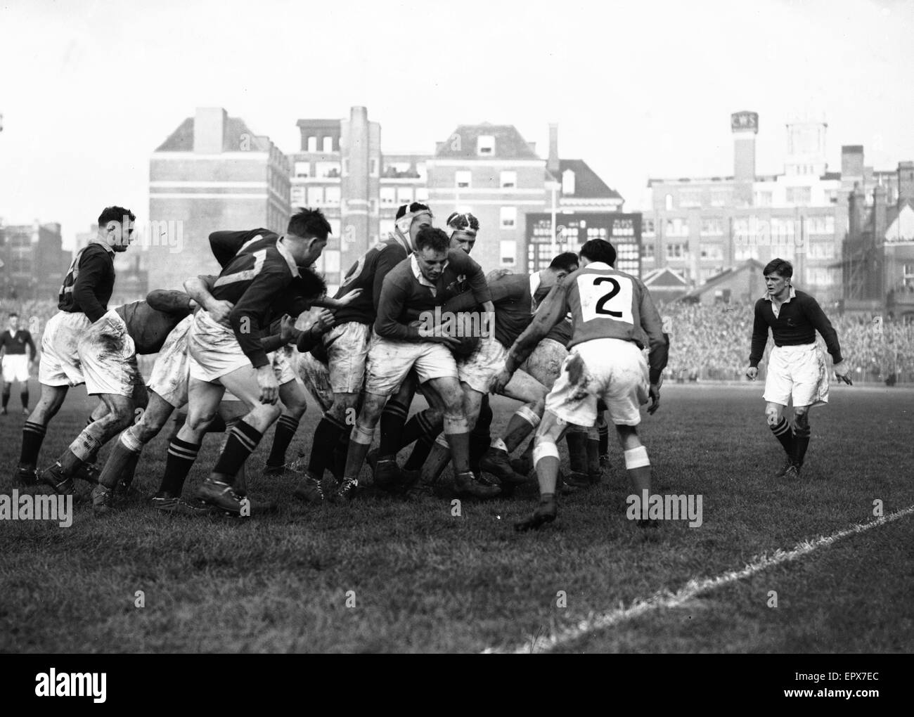 Wales rugby 1950s hi-res stock photography and images - Alamy