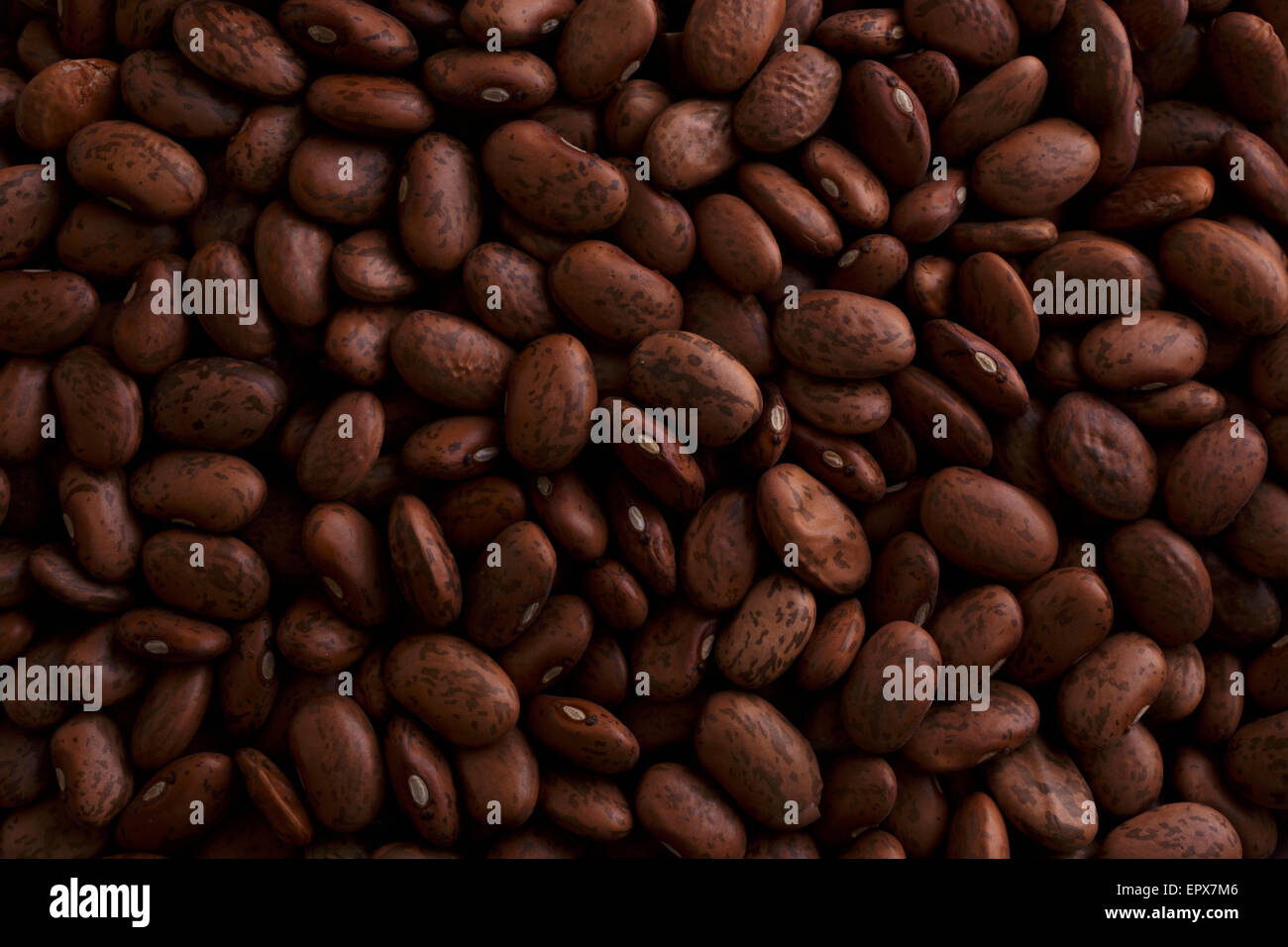 Pinto color hi-res stock photography and images - Alamy