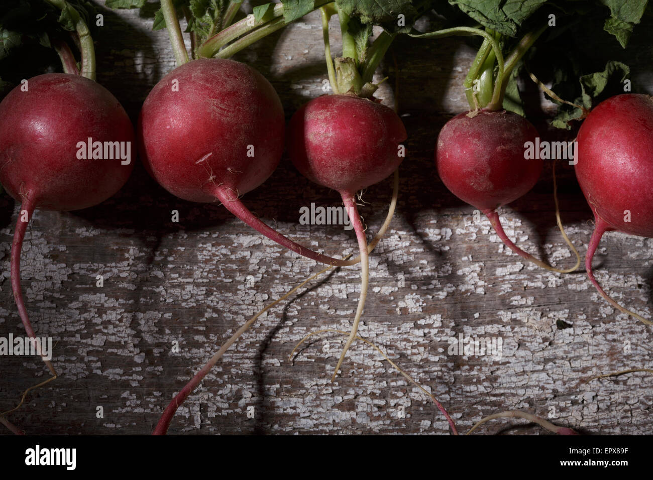 Radishes in a row on weathered wood table Stock Photo - Alamy