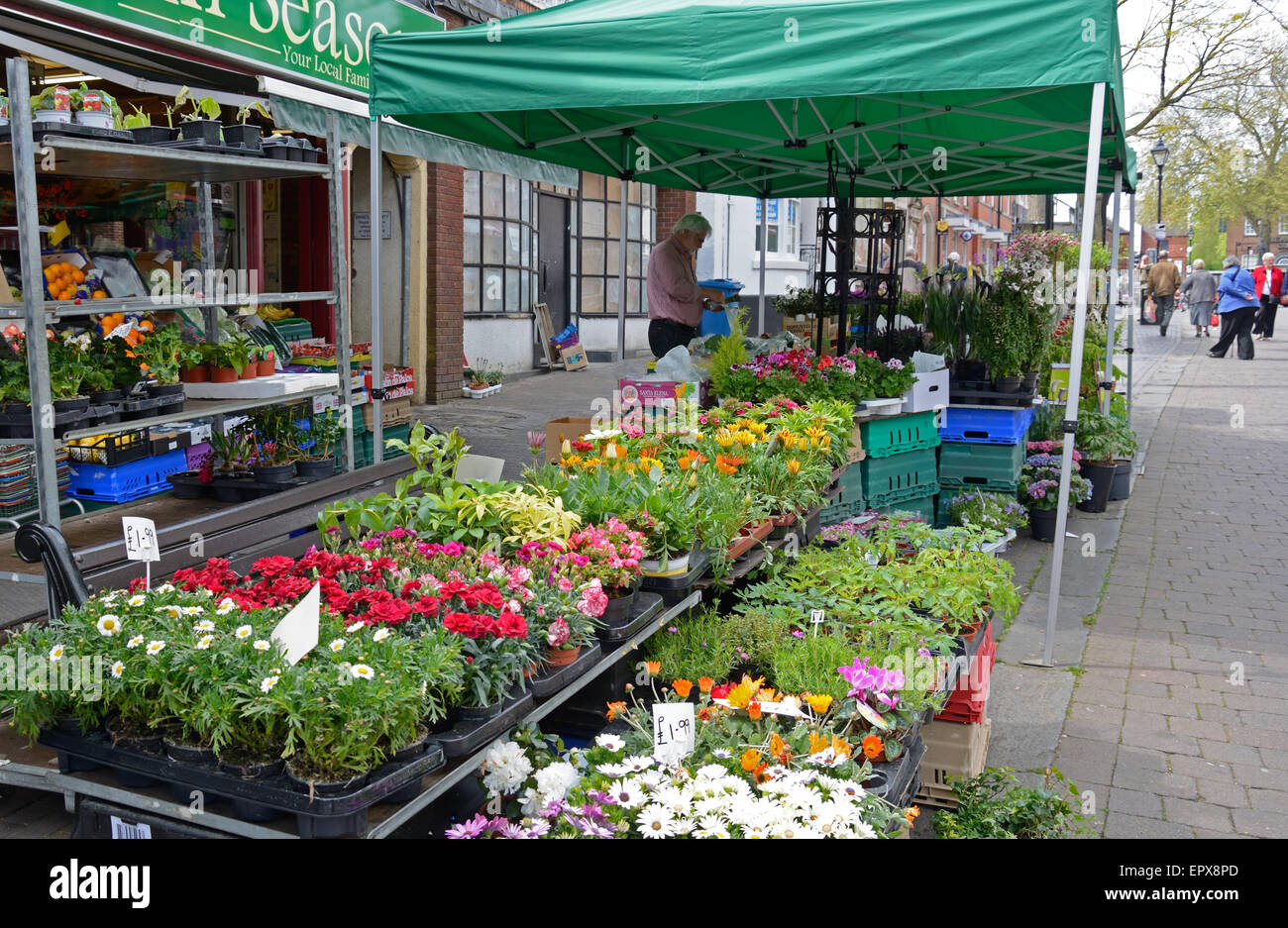 Flower stall. Stone, Staffordshire, England Stock Photo - Alamy