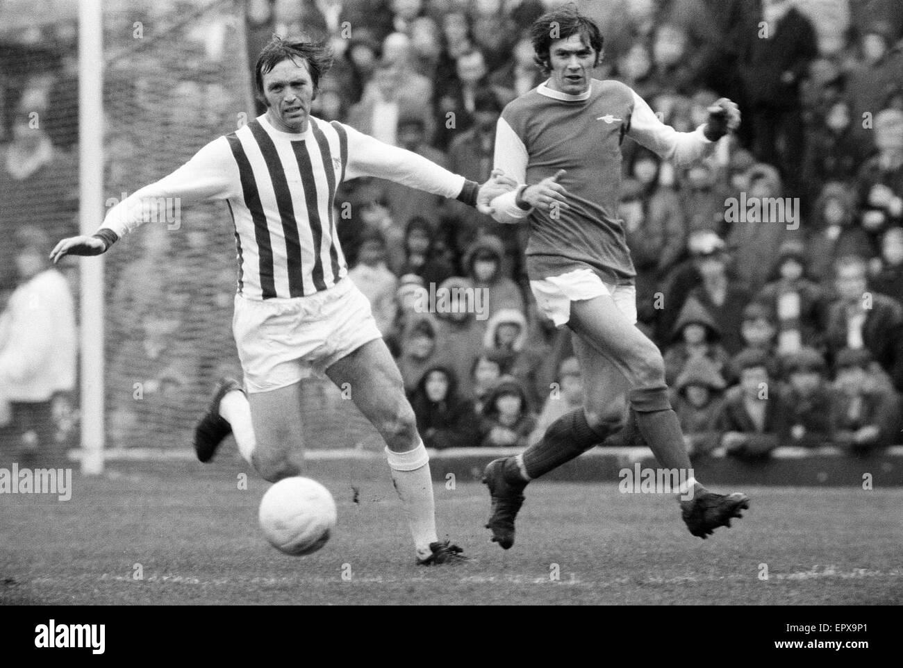 Photographs at the hawthorns hi-res stock photography and images - Alamy