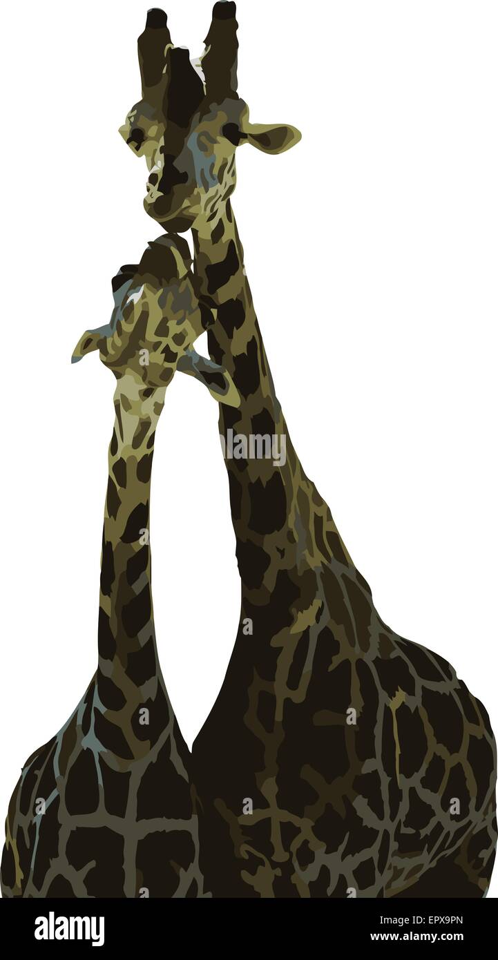 Giraffe necks Stock Vector Images - Alamy