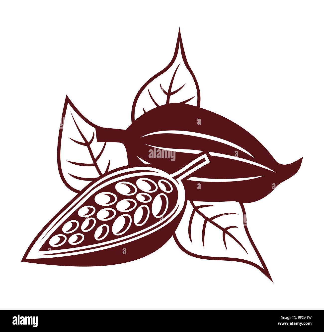 Cocoa bean vector hi-res stock photography and images - Alamy