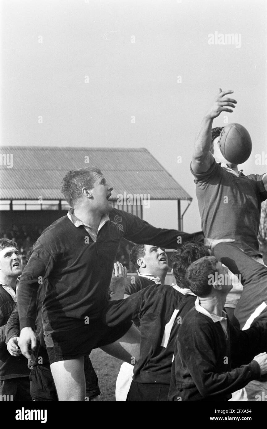 Rugby match 1960s hi-res stock photography and images - Alamy