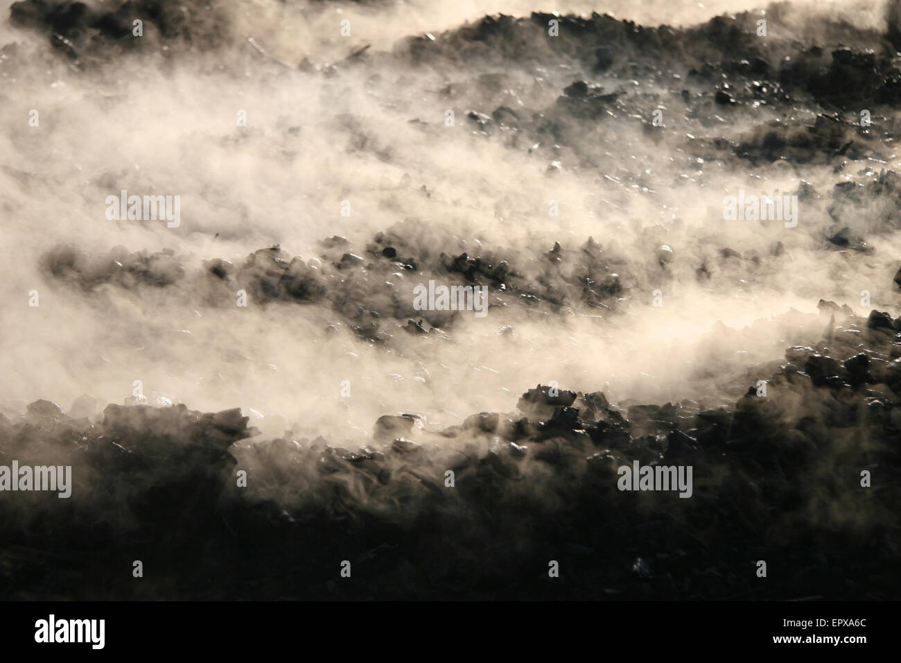 Smoldering coal and ash from a backyard fire Stock Photo - Alamy