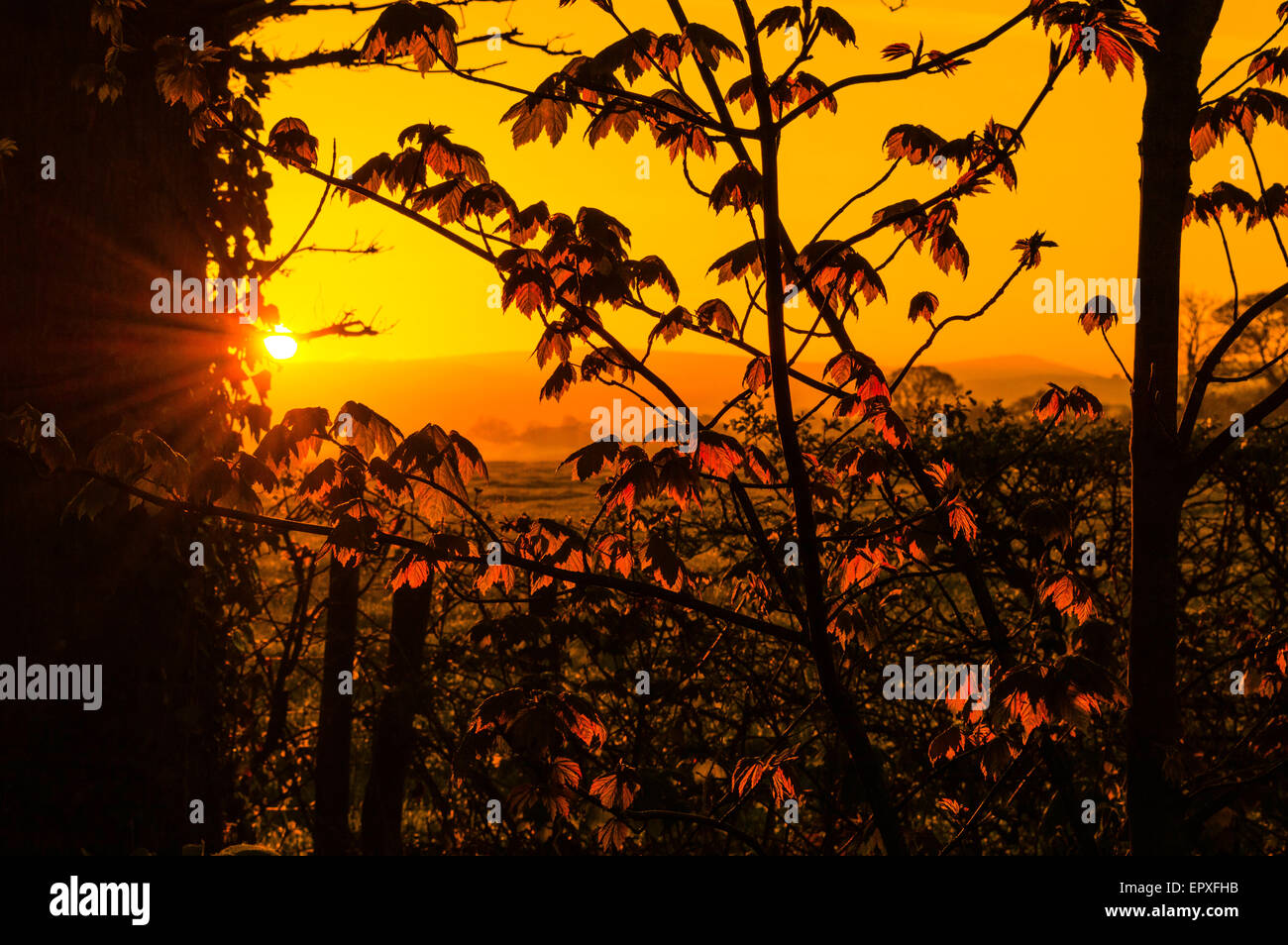 An English Sunrise Stock Photo - Alamy
