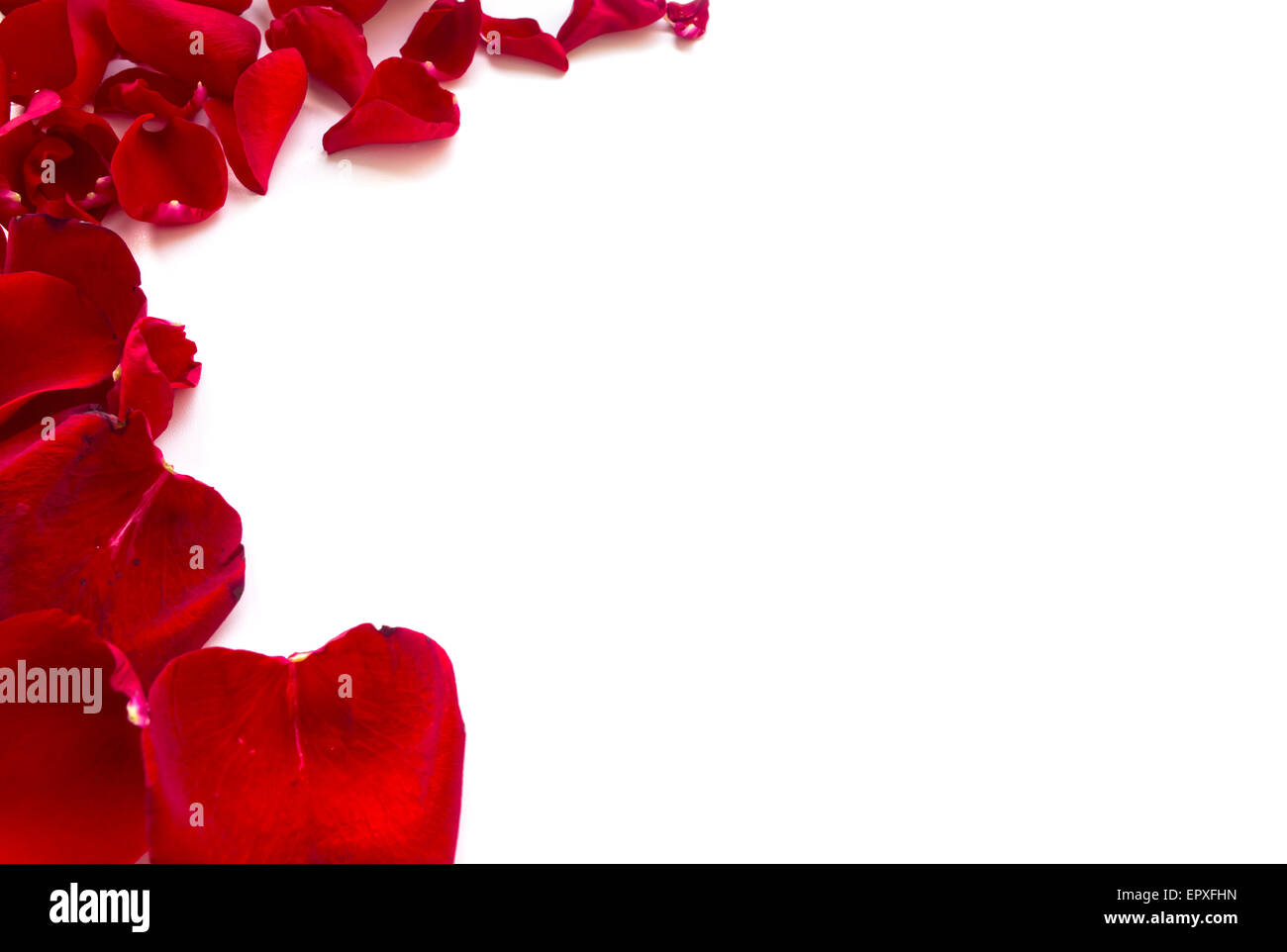 Rose Petals Border Stock Photo - Alamy