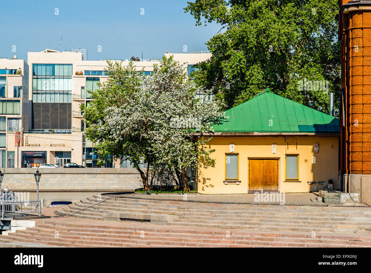 Spring in Moscow. Blooming trees by the house on Balchug island between ...