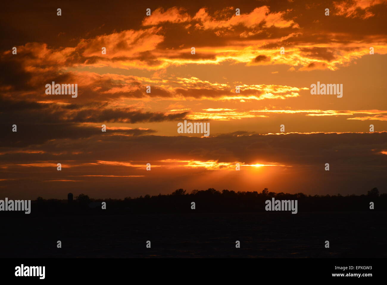 Dark spring hi-res stock photography and images - Alamy