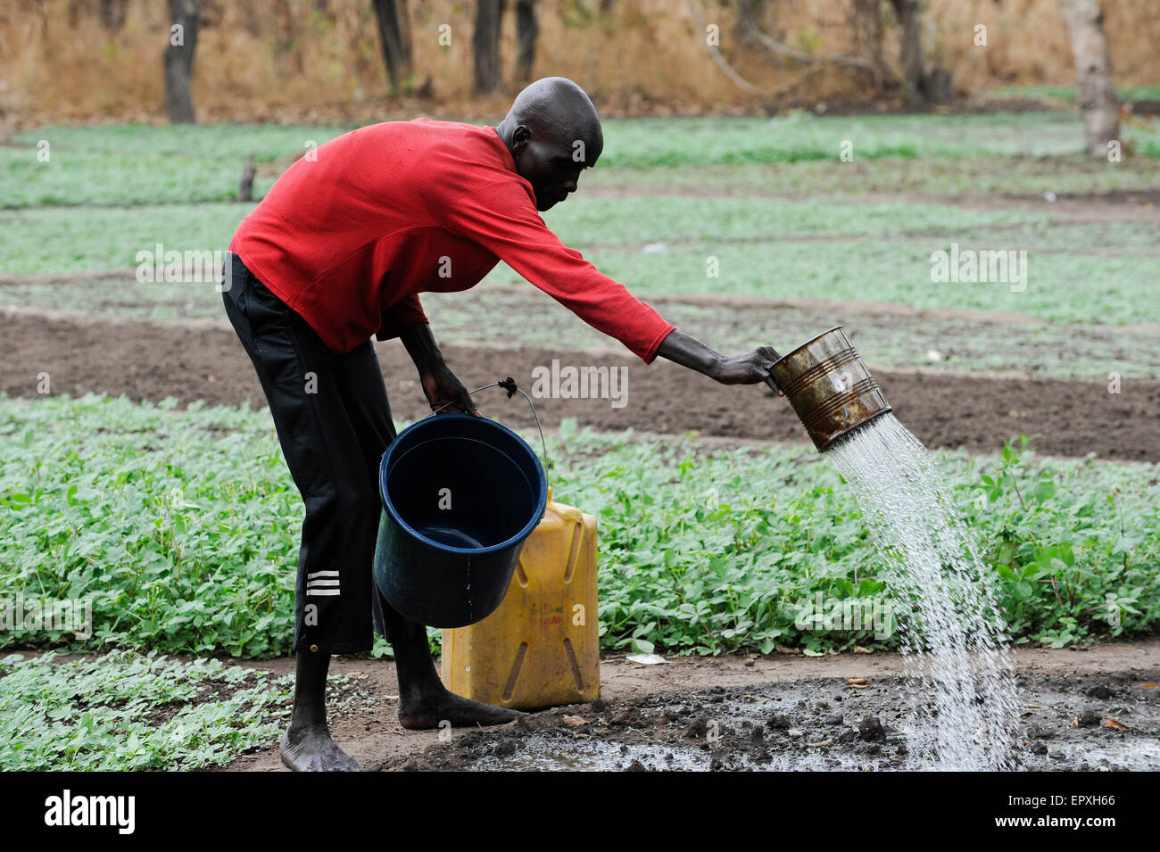 SOUTH-SUDAN Rumbek , village, Colocok, Dinka man fetch water from well ...