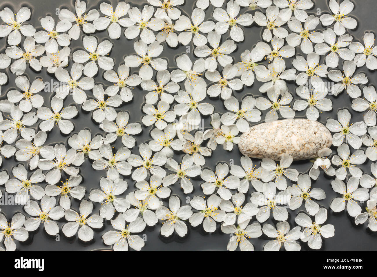 Spring still life white stone on white flowers, on a background of ...