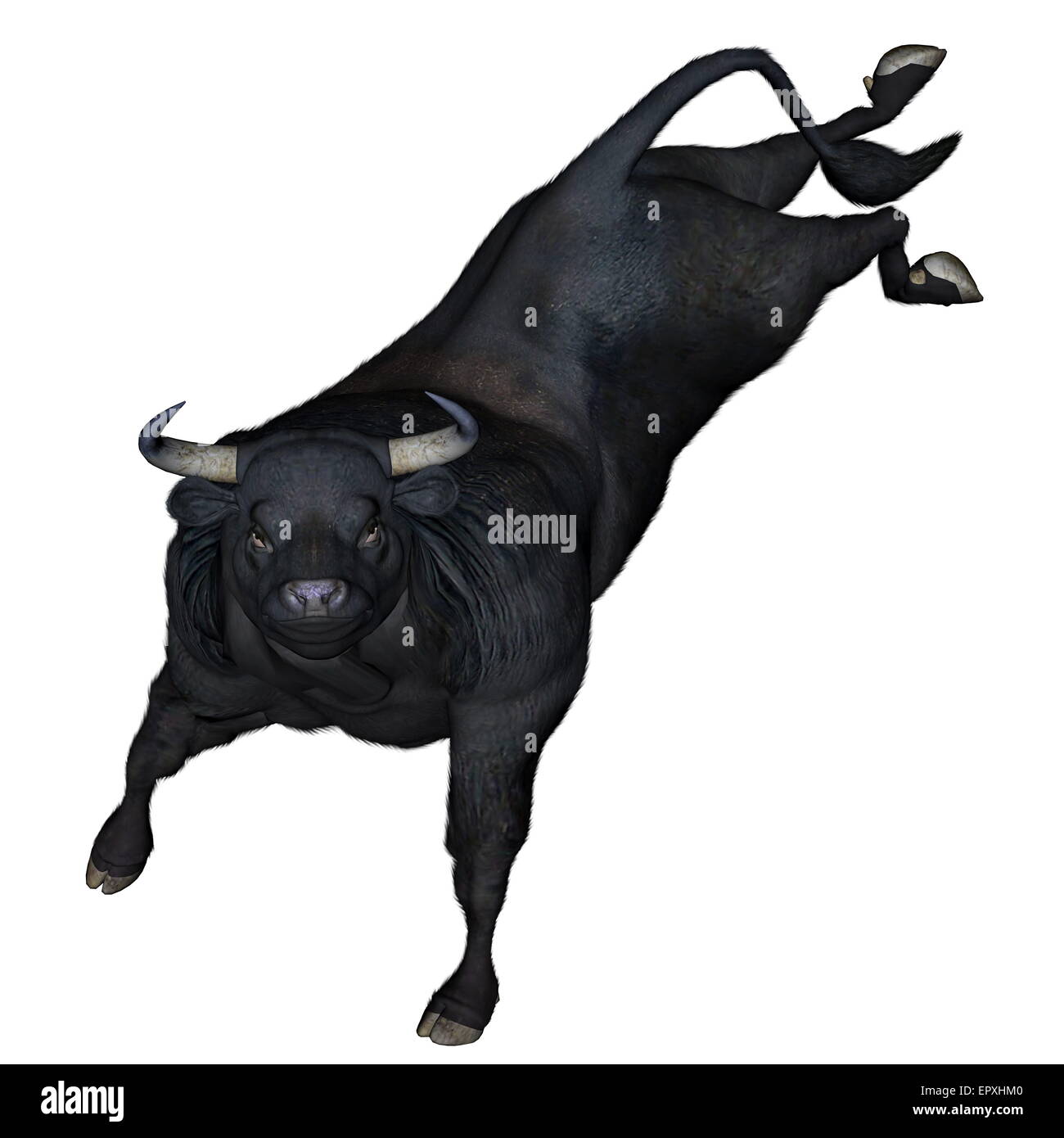 Bull bucking isolated in white background- 3D render Stock Photo - Alamy