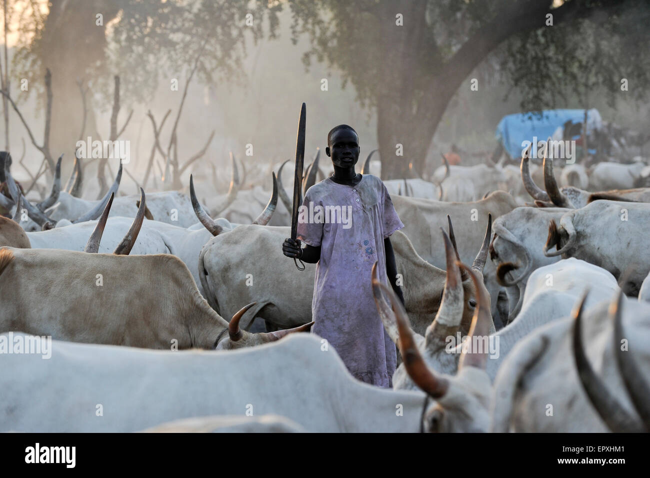SOUTH SUDAN Bahr al Ghazal region , Lakes State, cattle camp, Dinka ...