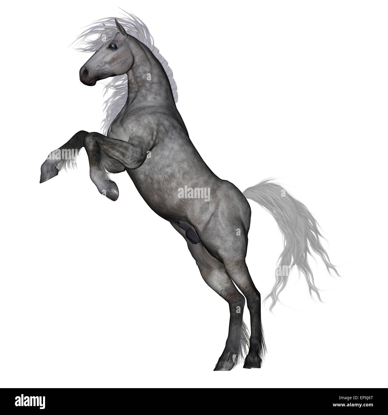 White horse rearing 3d render Cut Out Stock Images & Pictures - Alamy