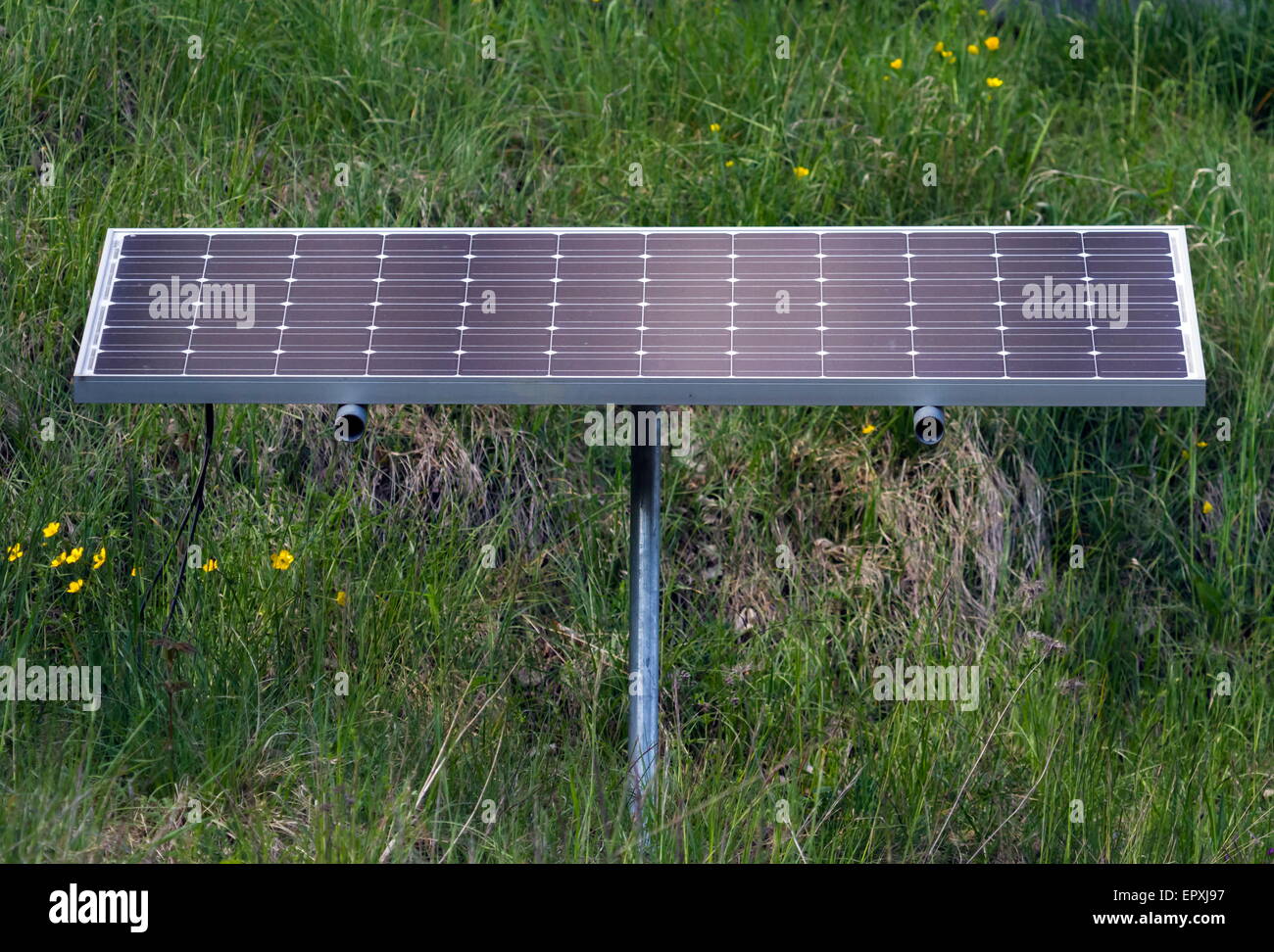 One solar panel standing on the green grass in nature Stock Photo - Alamy