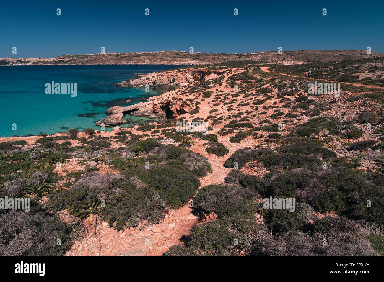 Comino island snorkelling hi-res stock photography and images - Alamy
