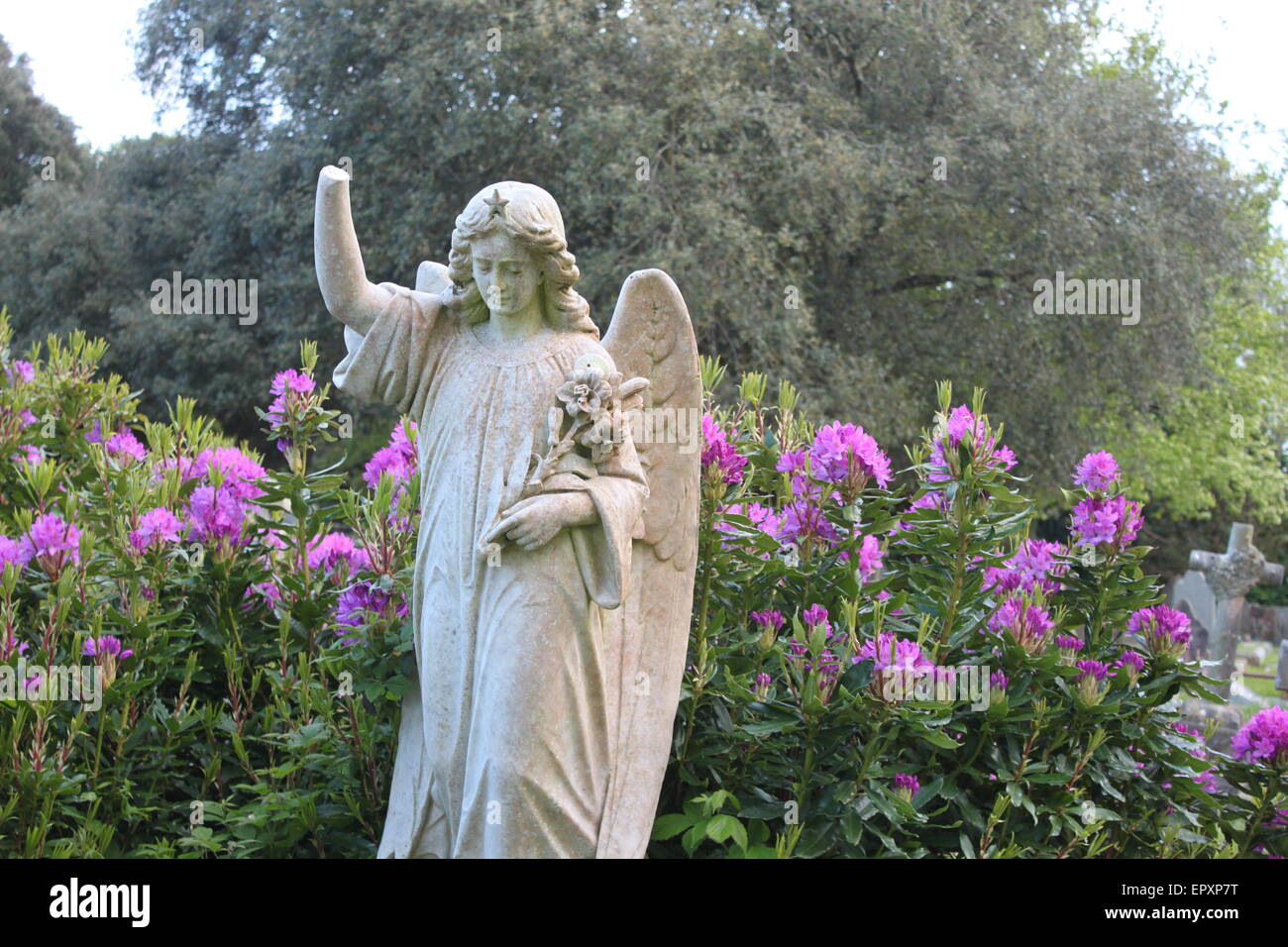 statue of angels in penzance cemetery Stock Photo - Alamy