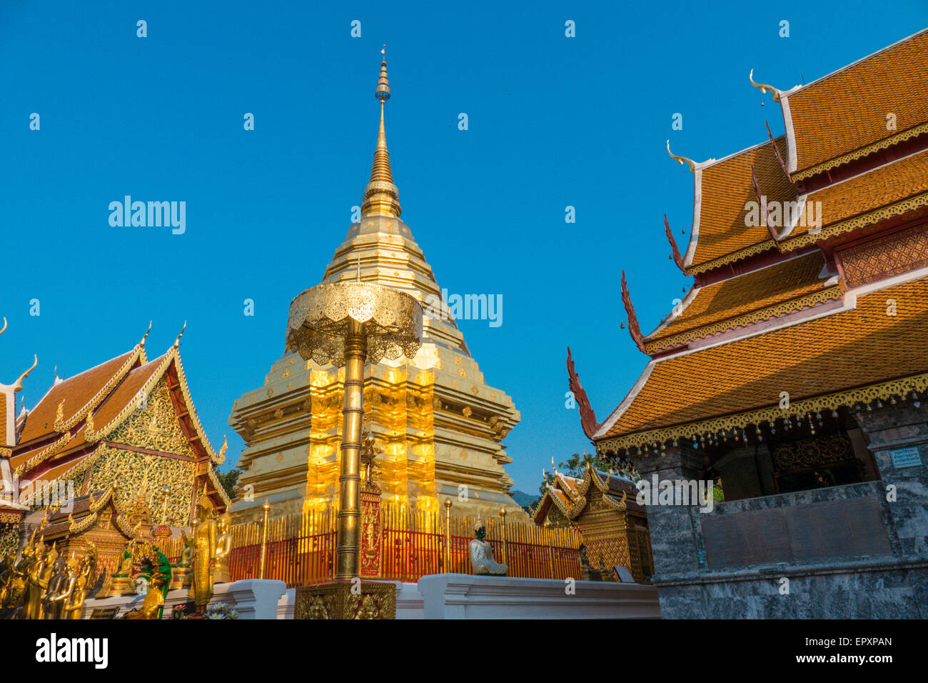 Wat Phra That Doi Suthep, Temple, Golden Chedi, Chiang Mai, Northern ...