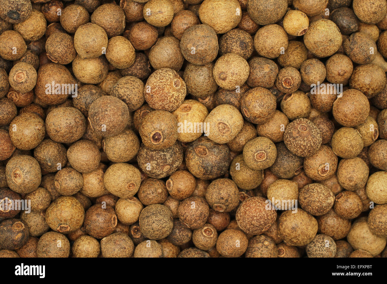 Allspice - closeup Stock Photo - Alamy