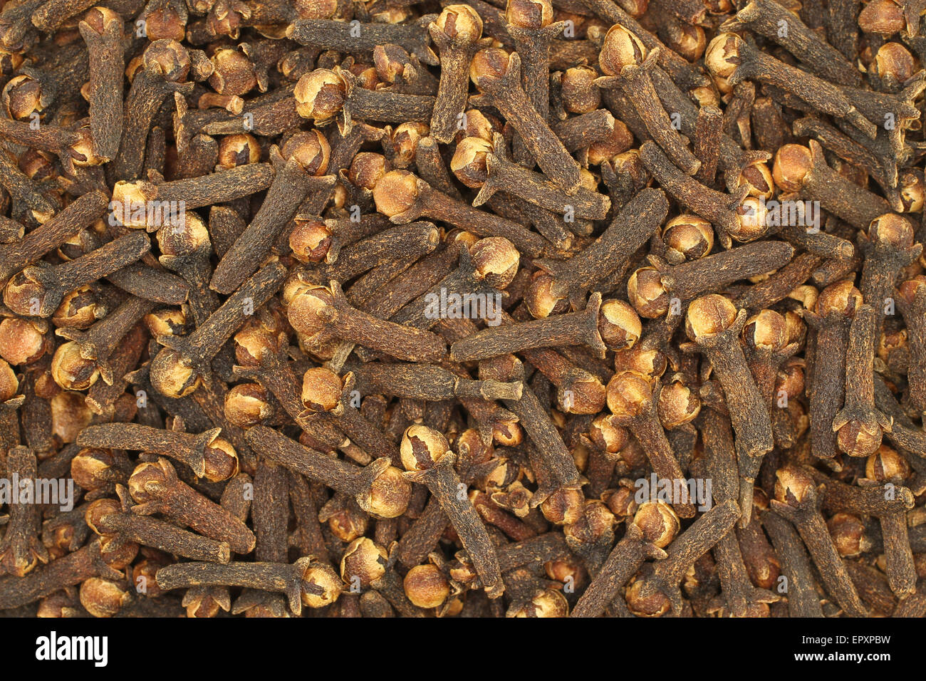 Clove seed hi-res stock photography and images - Alamy