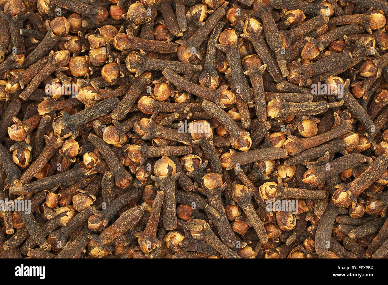 Clove seed hi-res stock photography and images - Alamy
