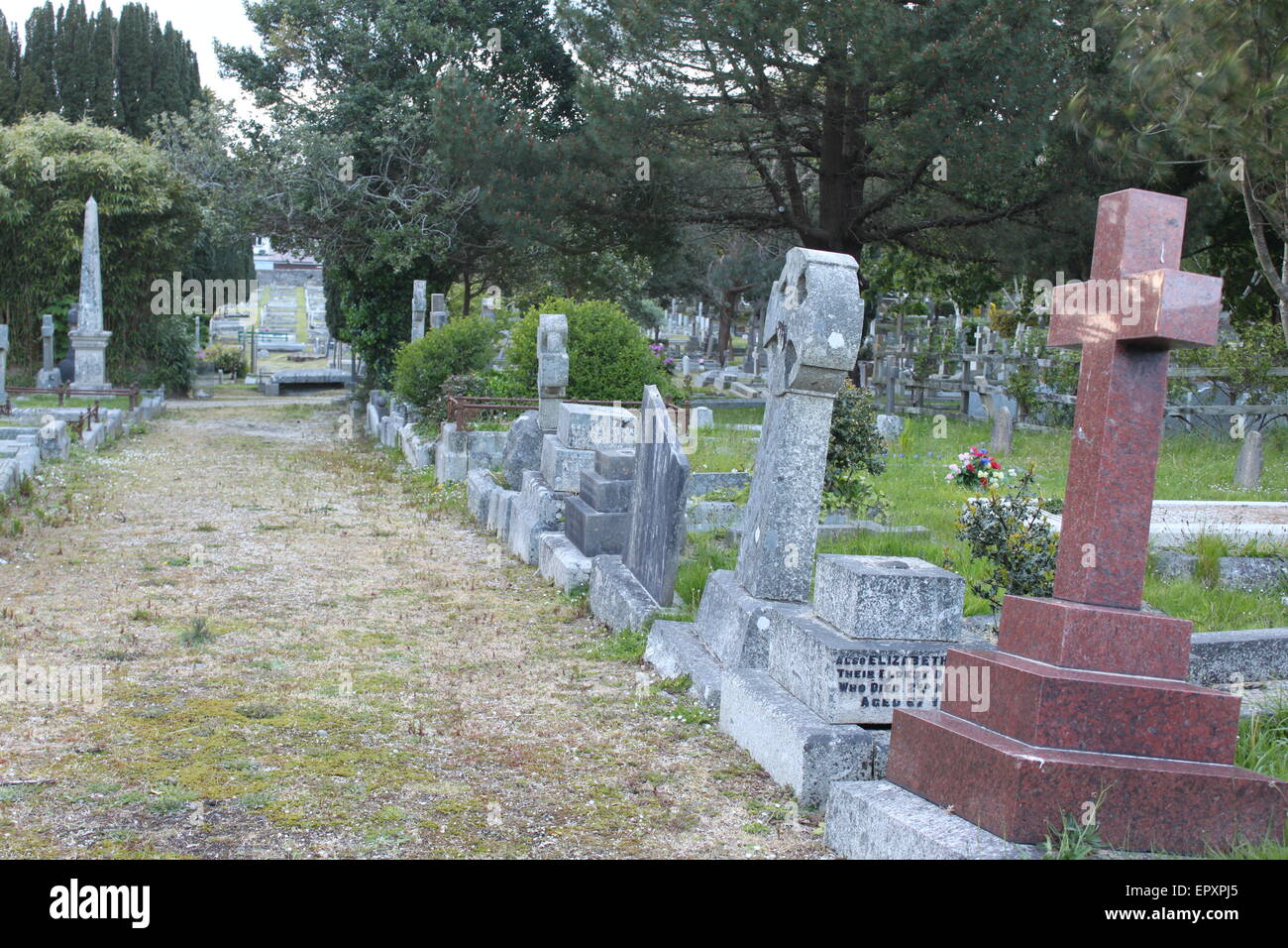 headstones and trees in penzace cemetery Stock Photo - Alamy