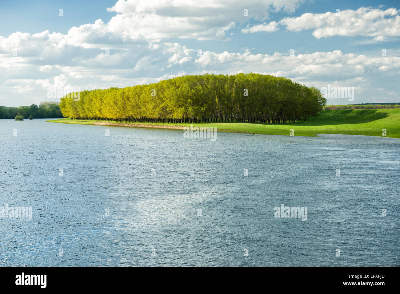 bright summer forest and river Stock Photo - Alamy