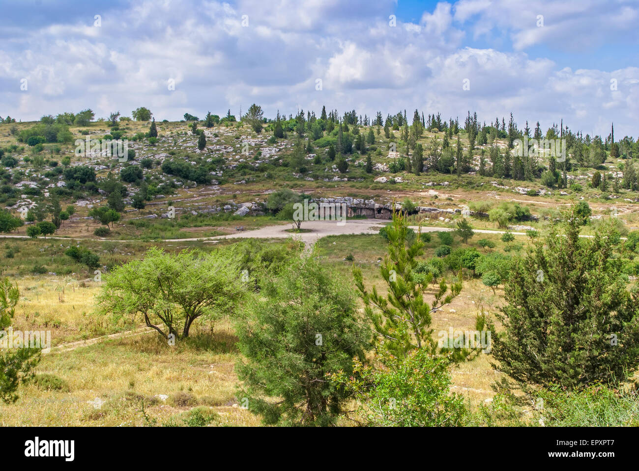 Israel landscape, forest, mountains with cave in Israel. Modiin Stock ...