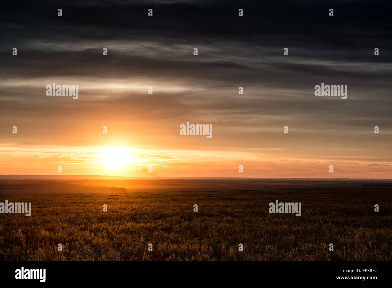 beautiful sunset in the field. spring landscape Stock Photo - Alamy