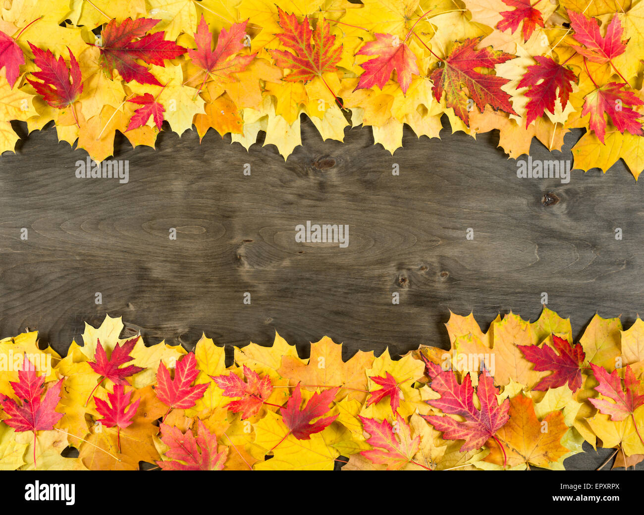 yellow autumn leaves frame on wood background Stock Photo - Alamy