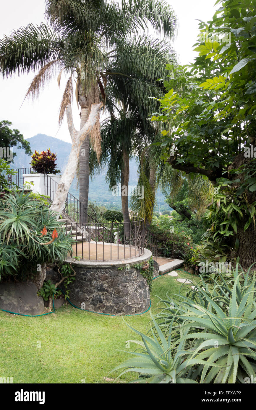 Trees in a garden, Xochimilco, Mexico City, Mexico Stock Photo - Alamy