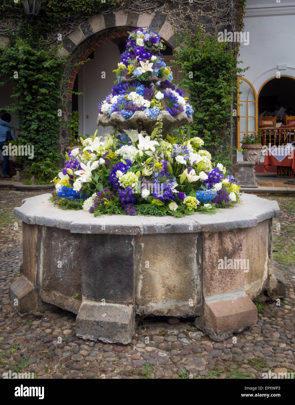 City vertical garden hi-res stock photography and images - Alamy