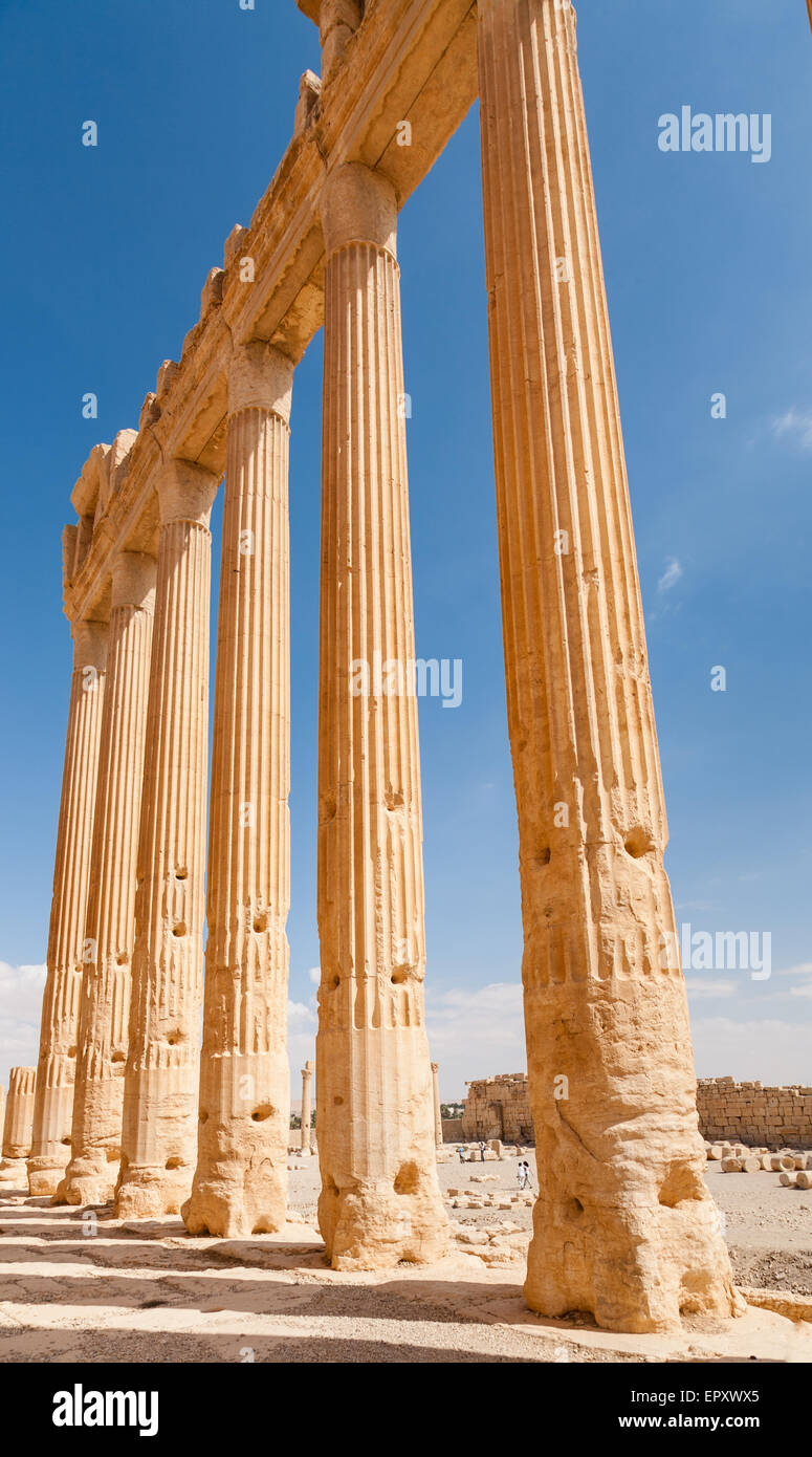 Restored columns at the rear of the inner temple Stock Photo - Alamy