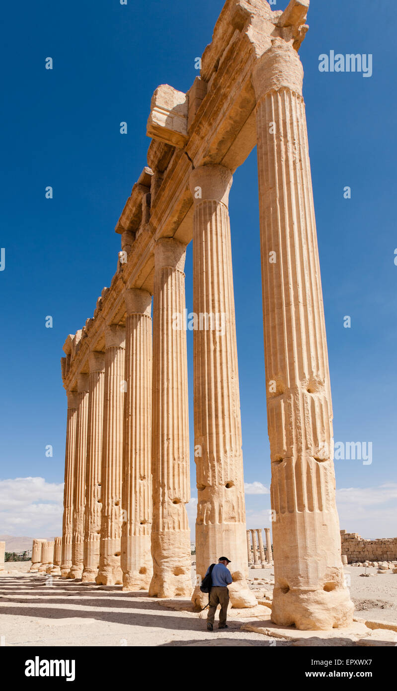 Restored columns at the rear of the inner temple Stock Photo - Alamy