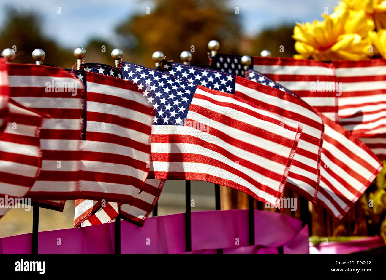 A row of US Flags blowing in the wind Stock Photo - Alamy