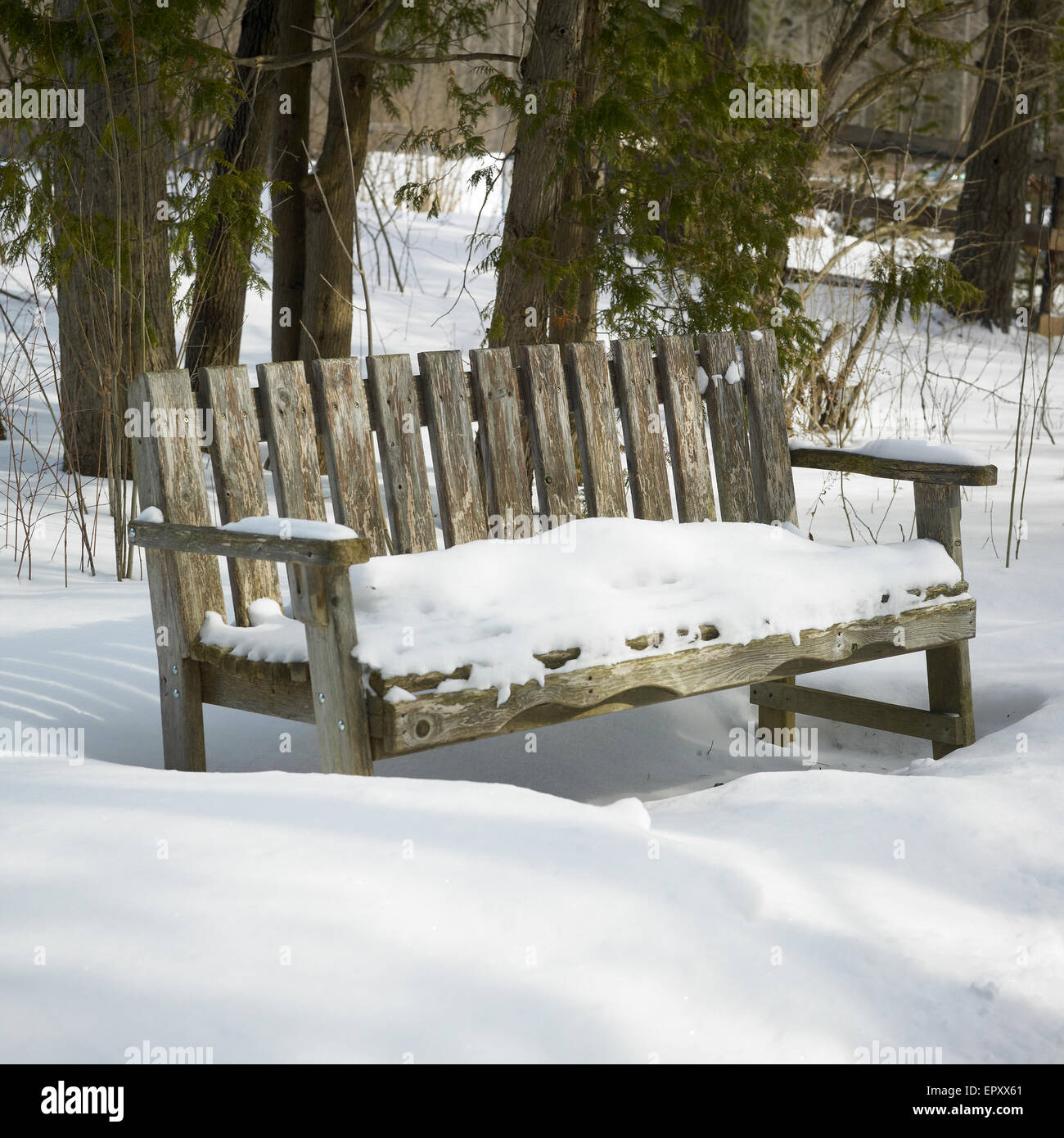 Snow covered bench, Orangeville, Dufferin County, Ontario, Canada Stock ...