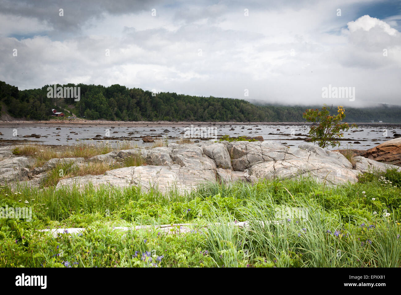 Rocks at the riverside, Quebec, Canada Stock Photo - Alamy