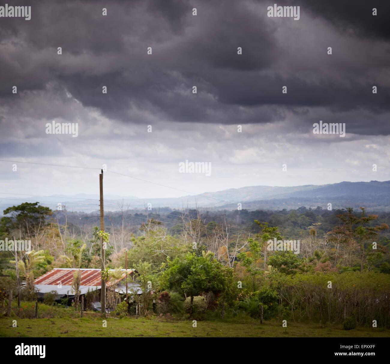 Hut in forest costa rica hi-res stock photography and images - Alamy