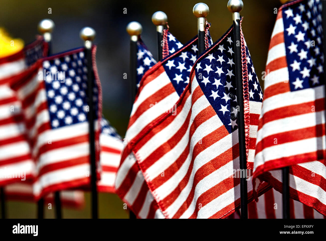 A row of US Flags blowing in the wind Stock Photo - Alamy