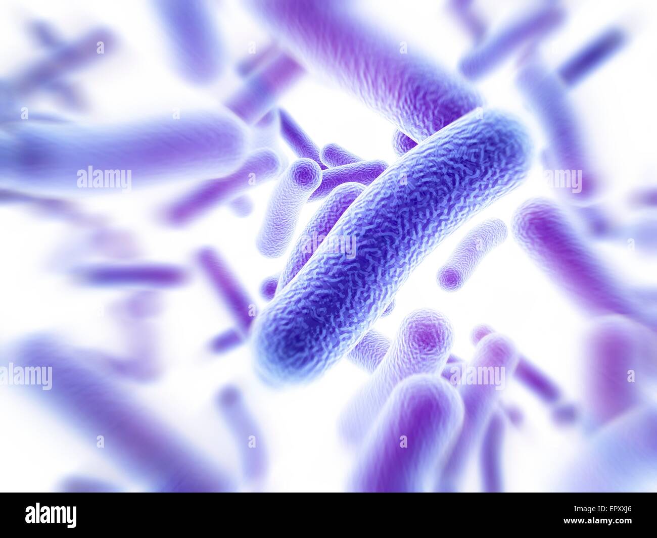 Computer artwork depicting a cluster of bacteria Stock Photo - Alamy