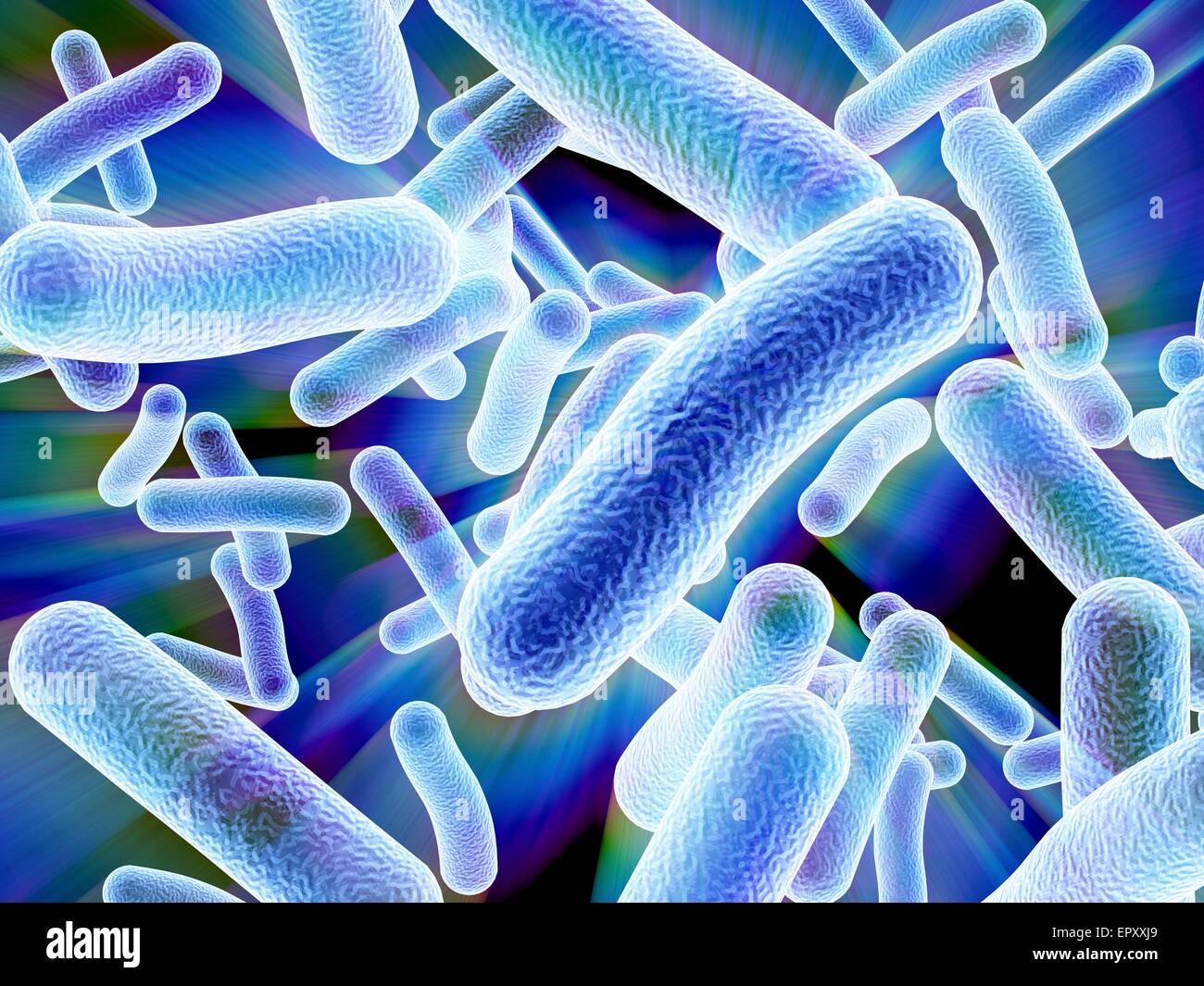 Computer artwork depicting a cluster of bacteria Stock Photo - Alamy