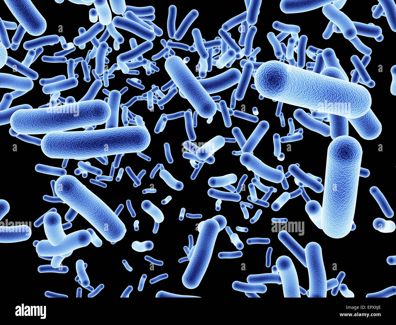 Computer artwork depicting a cluster of bacteria Stock Photo - Alamy