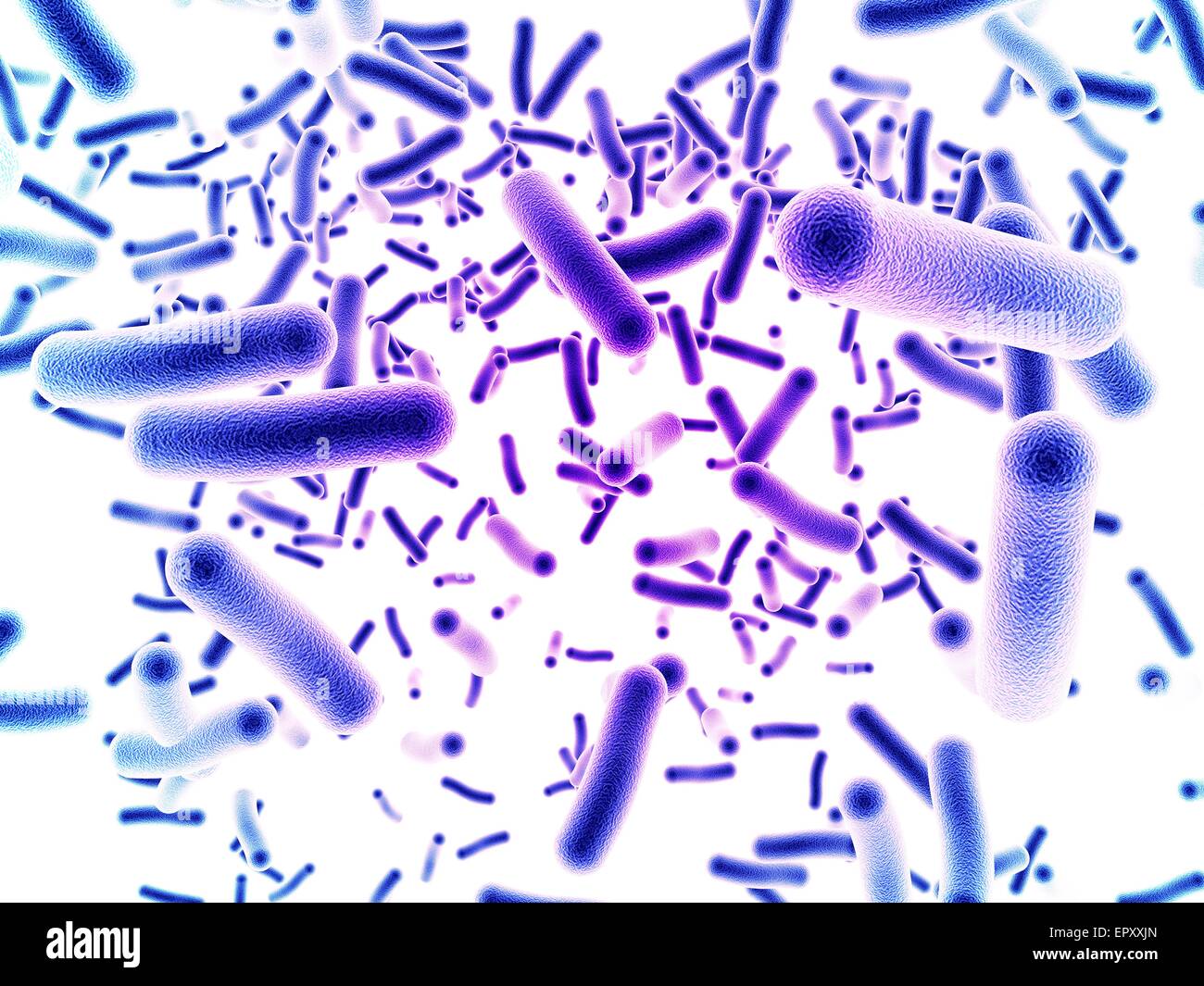 Computer artwork depicting a cluster of bacteria Stock Photo - Alamy