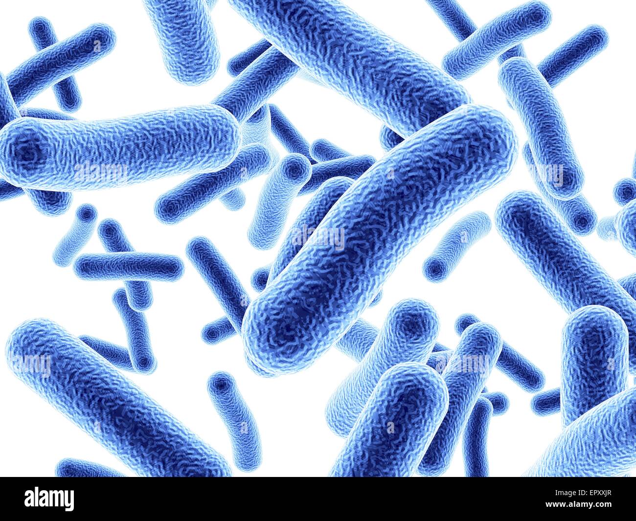 Computer artwork depicting a cluster of bacteria Stock Photo - Alamy