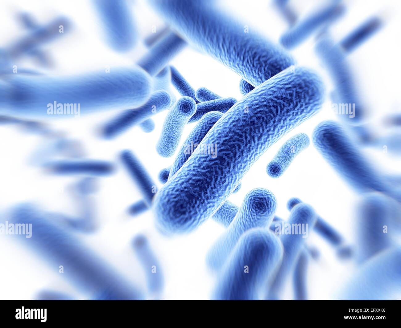 Computer artwork depicting a cluster of bacteria Stock Photo - Alamy