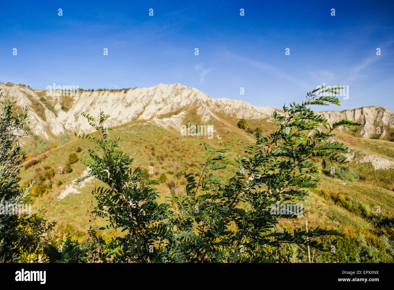 Generic vegetation and trees in cultivated fields under the gray ...