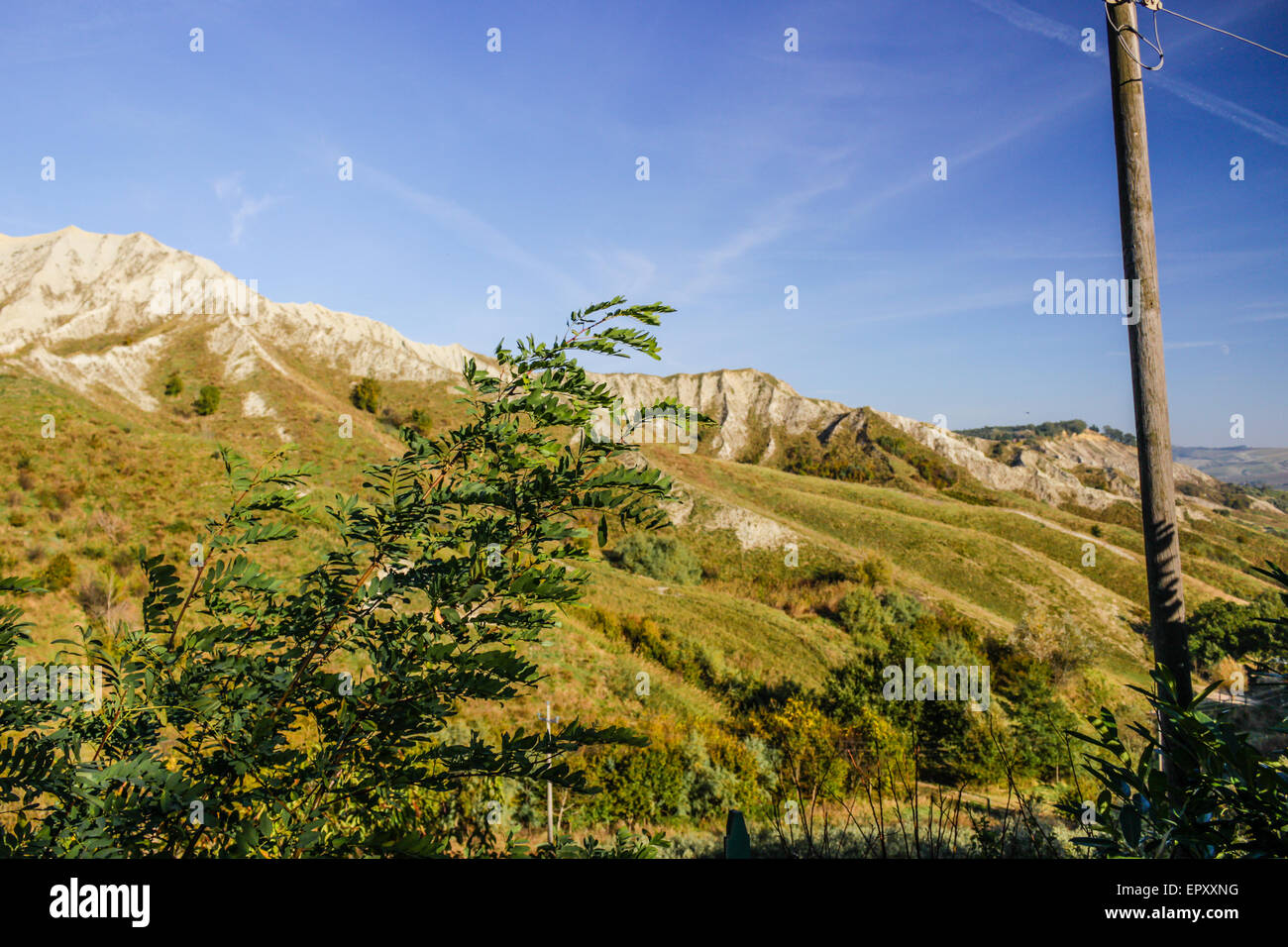 Generic vegetation and trees in cultivated fields under the gray ...