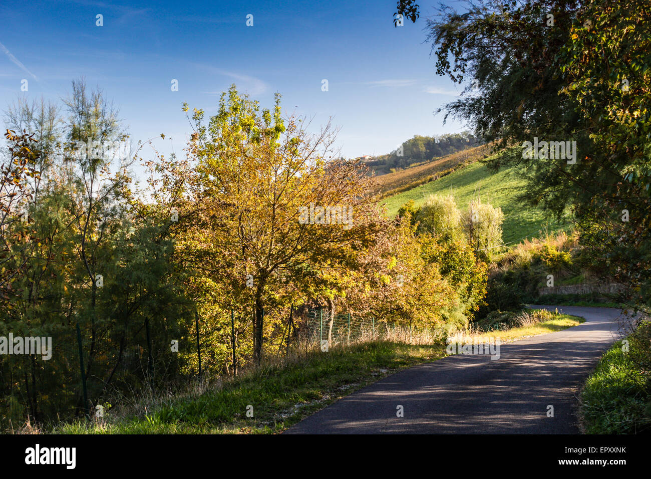 Generic vegetation and trees in cultivated fields under the gray ...